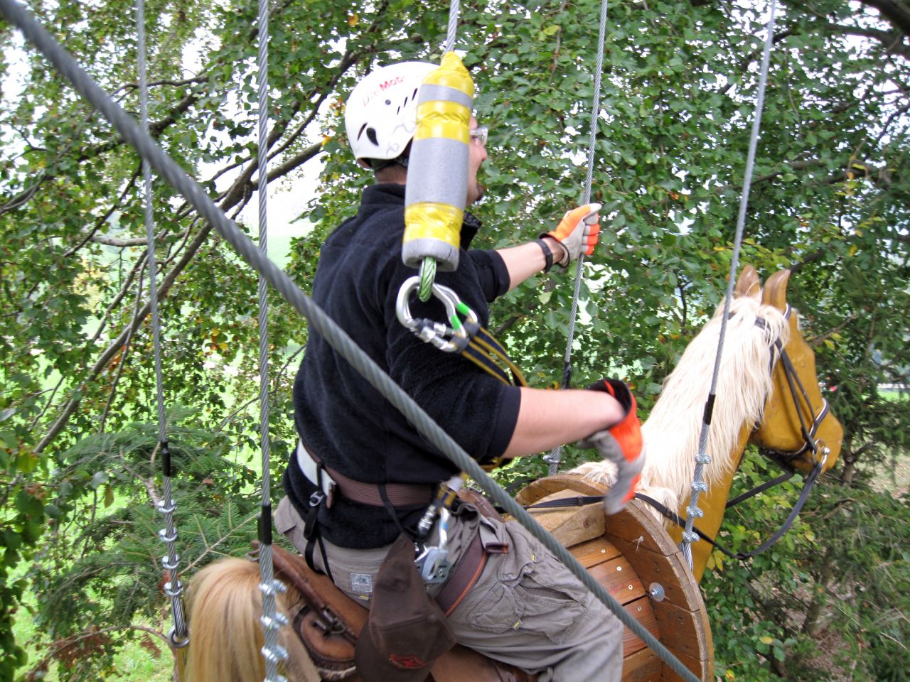 Seilpark in Küssnacht am Rigi
